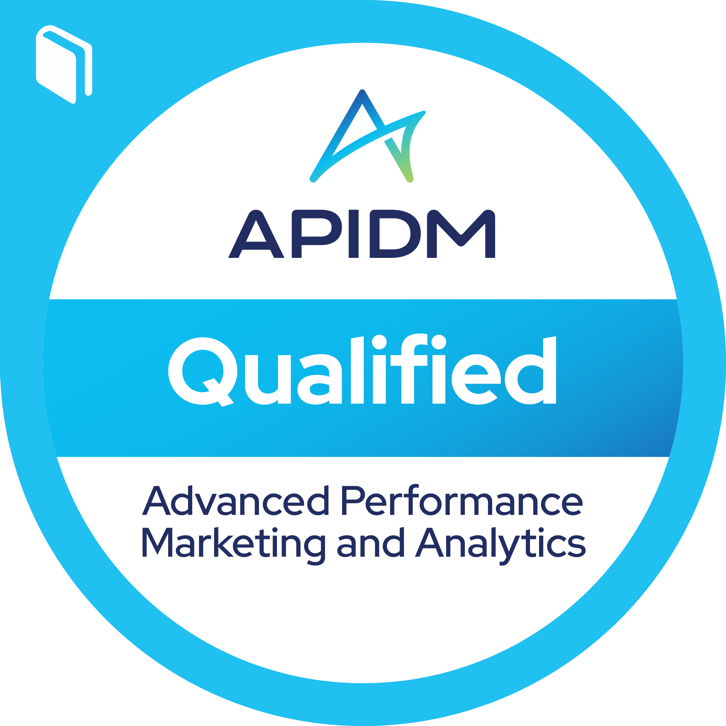 Advanced Performance Marketing and Analytics Program - APIDM